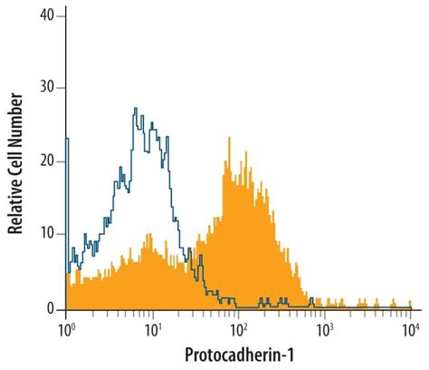 Protocadherin 1 Antibodies Novus Biologicals
