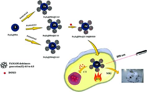 The Schematic Synthesis Presentation Of Theranostic Nanoplatform Based Download Scientific