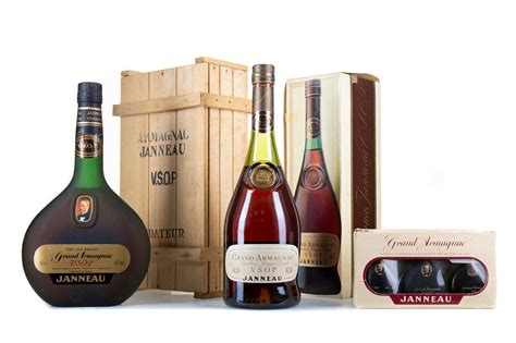 Lot 21 - 2 BOTTLES OF JANNEAU VSOP ARMAGNAC AND 3