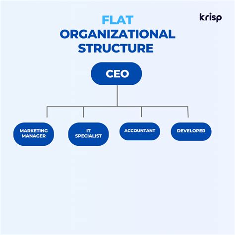 Organizational Structures Which One Fits Your Business