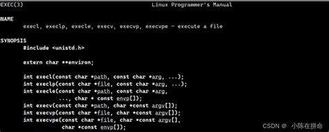Linux系统编程：进程替换 Csdn博客