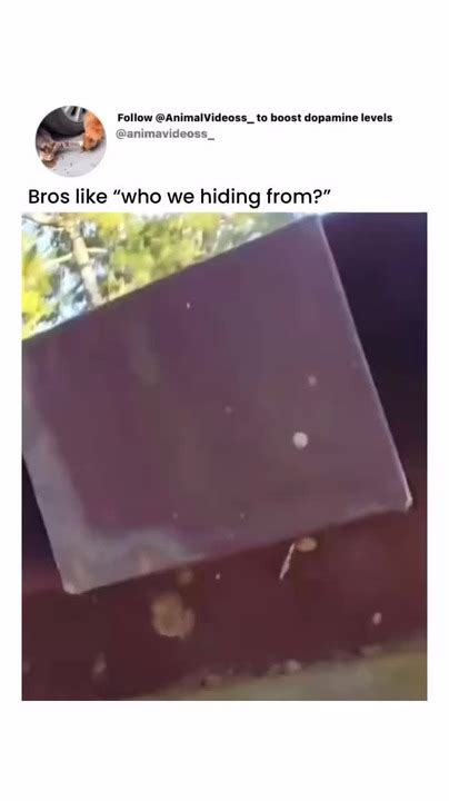 Gasp Meme Subido Por Deletedfe8f0a9a423 Memedroid