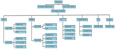 Our Algorithm For Nasal Reconstruction With Local And Regional Flaps