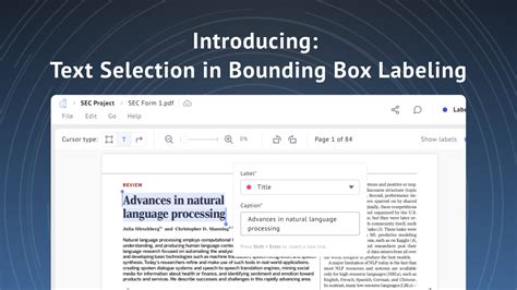 Precision Made Easier Introducing Text Selection In Bounding Box Labeling