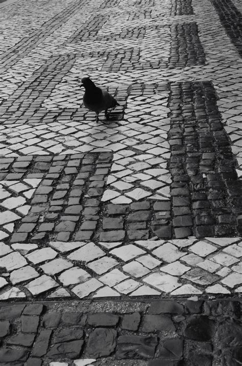 Bbbbbbbbbbbbbbbbbbbb Xc W Photos Download The Best Free