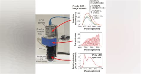 Multispectral Detectors Multispectral System Evaluates Treatments In Dermatology Laser Focus