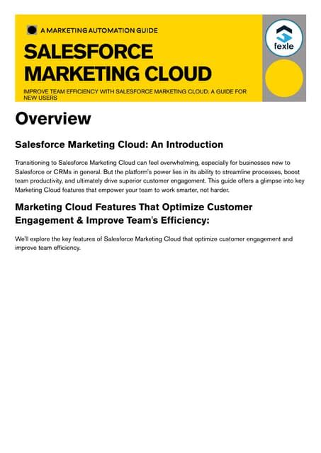 Salesforce Marketing Cloud Implementation By Fexle Automate Marketing