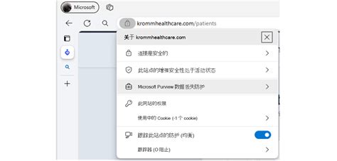 了解 microsoft edge 中的数据丢失防护 microsoft learn