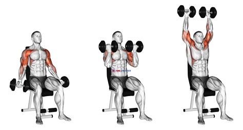 Shoulder Press Machine Muscles Worked Dbku