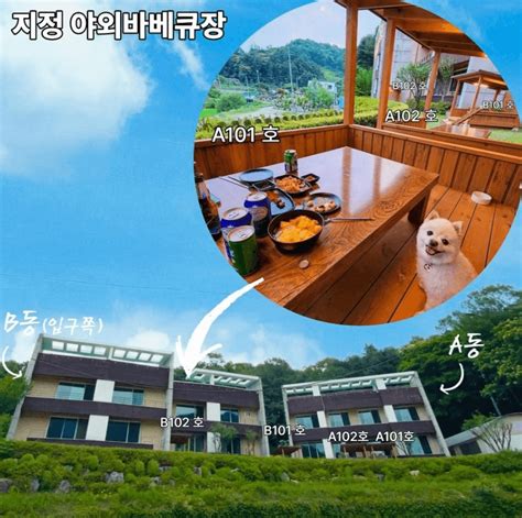 청평 애견 펜션 순위 Best 5 · 랭크프라이스