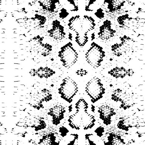 4 600 Python Stock Illustrations Graphiques Vectoriels Libre De