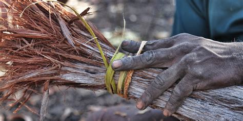 Research In Indigenous Knowledges Faculty Of Science