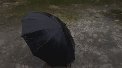 10 000 Video Cewek Sange Viral Terbaik · Unduh Gratis 100 · Video