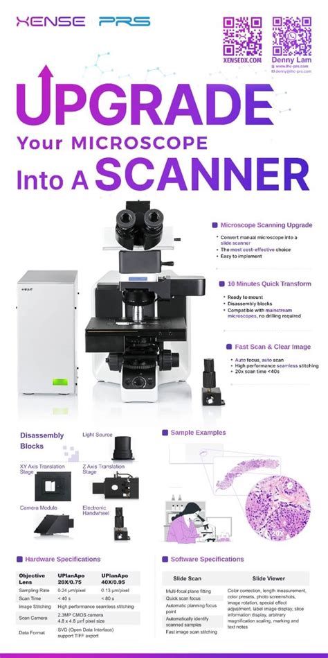 Digital Pathology Ihc Prs Ihc Prs Medium