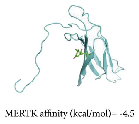 Molecular Docking Analysis Of Candidate Proteins And Dehydrovomifoliol