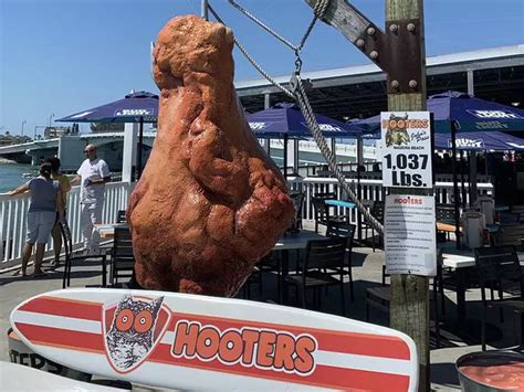 This 1037 Pound Odd Wonder In Florida Is The Worlds Largest Chicken