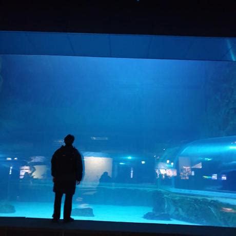 Github Nonjk Reactstudy