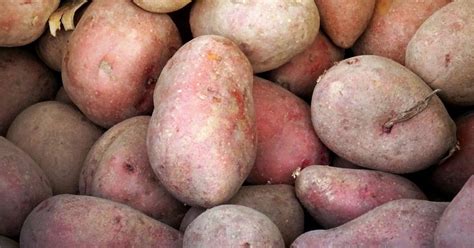 Solanina In Patate Pomodori E Melanzane Rischi Per La Salute