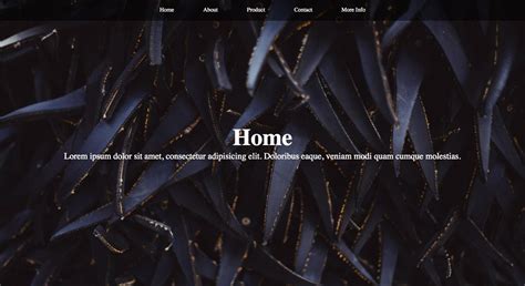 Javascript How To Dim The Body From Navbar Hover HTML CSS Stack Overflow