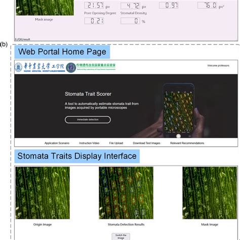 Software Interface Of Exe Software And The Open‐access Web Portal A Download Scientific