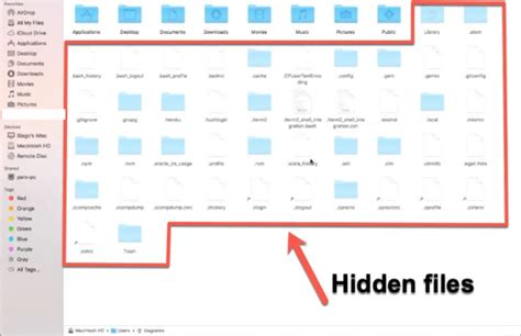 Fix SD Card Not Showing Files On Mac Or Windows PC