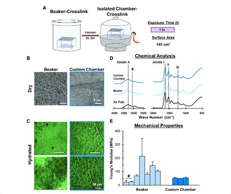 Mesh Fabrication Crosslinking Environmental Conditions Crosslinking