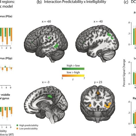 Group‐level Fmri Results Illustrating Brain Regions That Are Sensitive Download Scientific