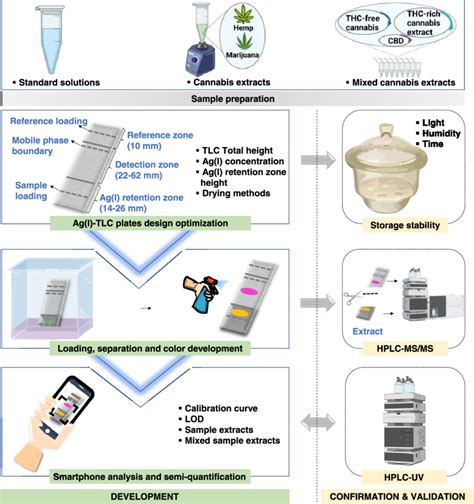 Overview Of The Experimental Workflow Created Partly With Biorender