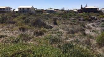 Pyp Grass Control Nacc Northern Agricultural Catchments Council