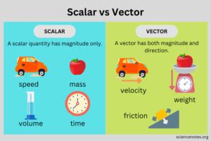 Scalar Examples And Their Importance In Science