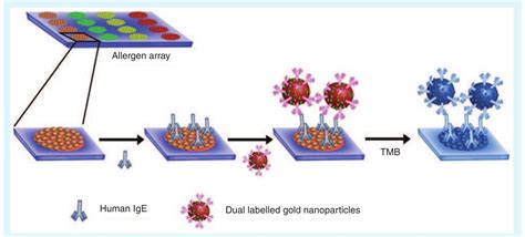 Paper Based Lateral Flow Allergen Microarrays The Blood