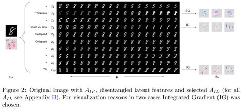 Improving Explainability Of Disentangled Representations Using Multipath Attribution Mappings