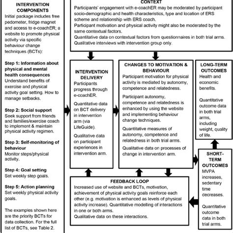 Logic Model For E Coacher Intervention Ers Exercise Referral Scheme