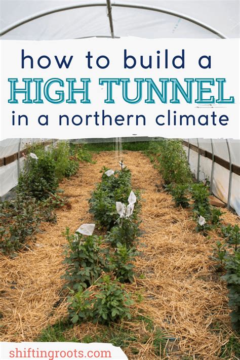 How To Build A High Tunnel In A Northern Climate Shifting Roots