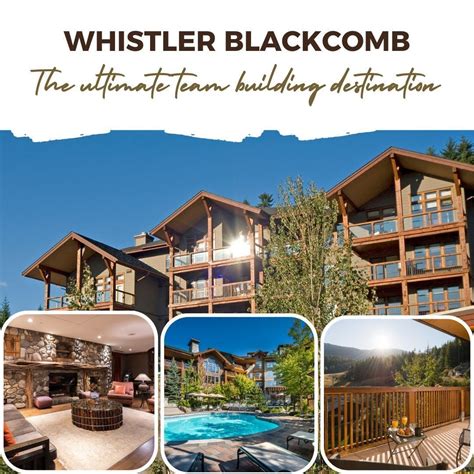 Haley Murray Jamieson Posted On Linkedin