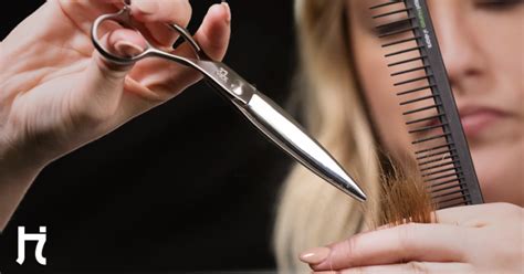 How To Point Cut Hair In Simple Steps What Is Point Cutting