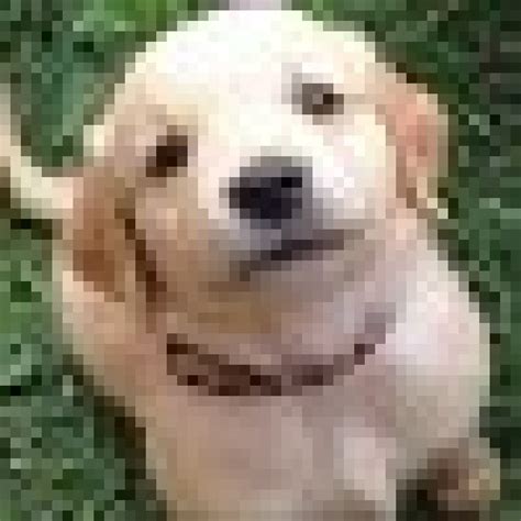 Lists Mutable And Dynamic Video Real Python