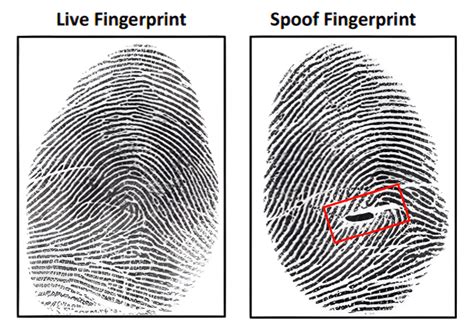 Behind Fake Fingerprint Detection How It Works