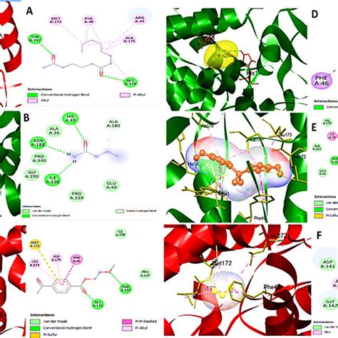 Three 3d And Two Dimensional 2d Binding Interaction Of Lignin