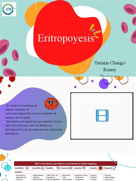 eritropoyesis pdf