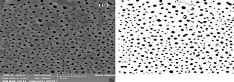 The Sem Micrographs Of A B B B1 C B2 And D B3 Samples Download Scientific Diagram