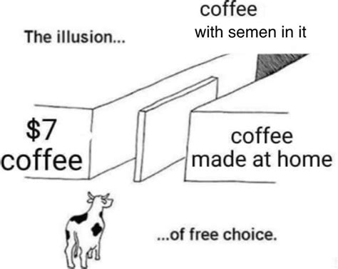 Effoc Rokbuddyretard