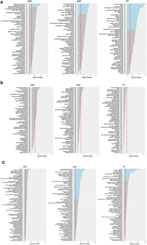 Sex Specific Genetic Architecture Of Blood Pressure Pmc