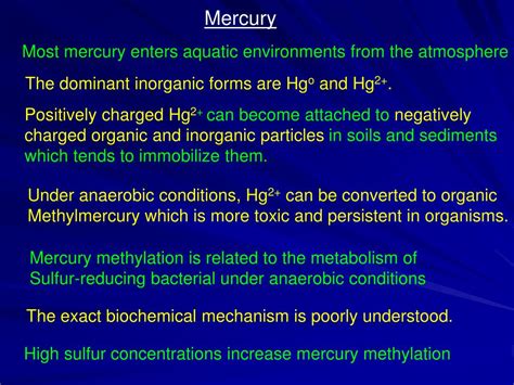 Ppt Toxic Bioaccumulative Chemicals Powerpoint Presentation Free Download Id 1014581
