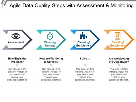agile data quality steps with assessment and monitoring graphics