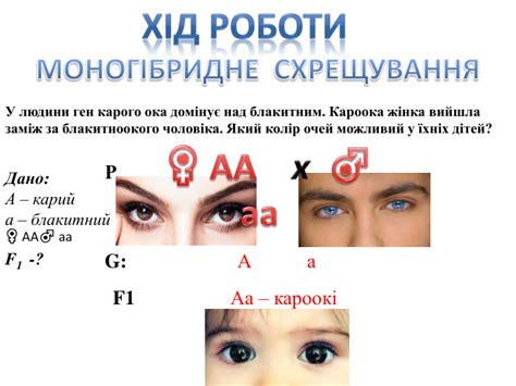 Презентація Практична робота № 3 Тема Складання схем схрещування 9 клас