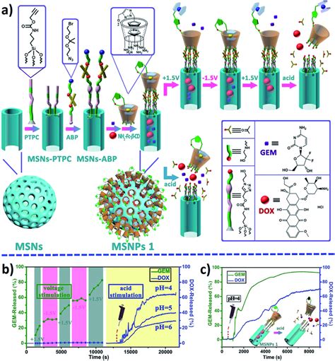 Schematic Assembly And Multimodal Controlled Release Modalities Of
