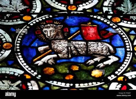 Jesus Lamb Of God Stained Glass