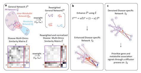 Github Karenxzr Multinep Multinep A Multi Omics Network Enhancement Framework For