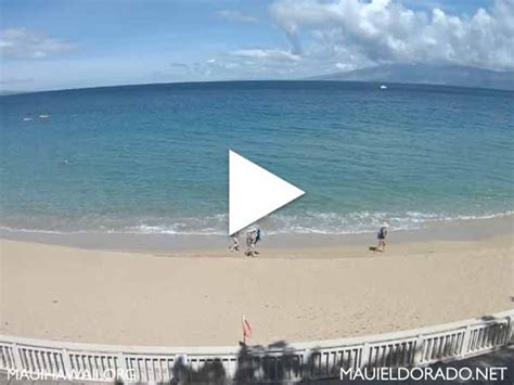 Maui Webcams See Maui Live Right Now 17 Live Web Cameras